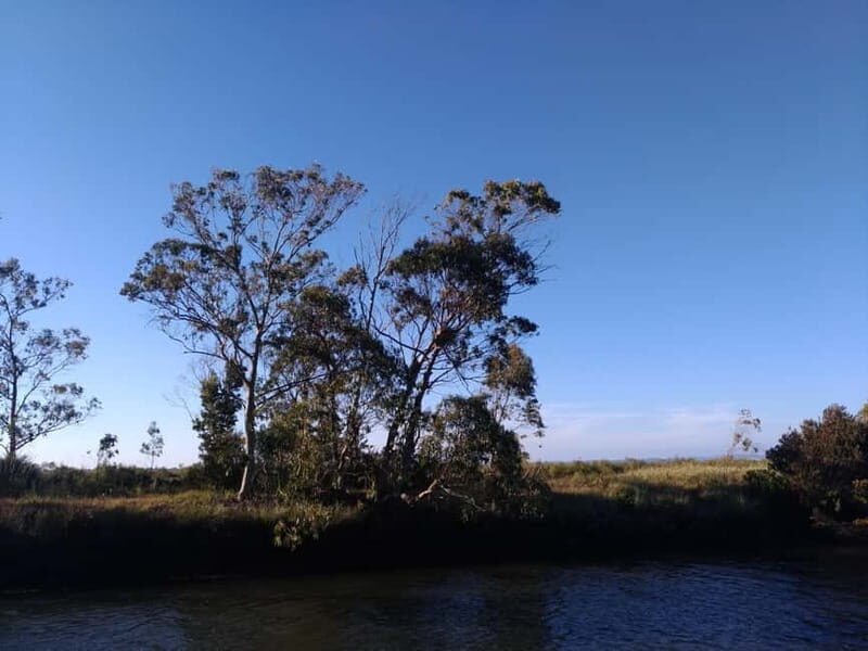 Industry or Nature Boat Tour | Speedboat - What to Expect from the Speedboat Journey