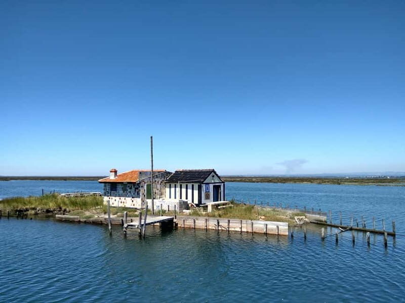 Industry or Nature Boat Tour | Speedboat - Whats Included and Whats Not
