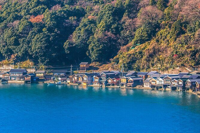 Ine and Amanohashidate Day Trip from Kyoto - What Past Travelers Say