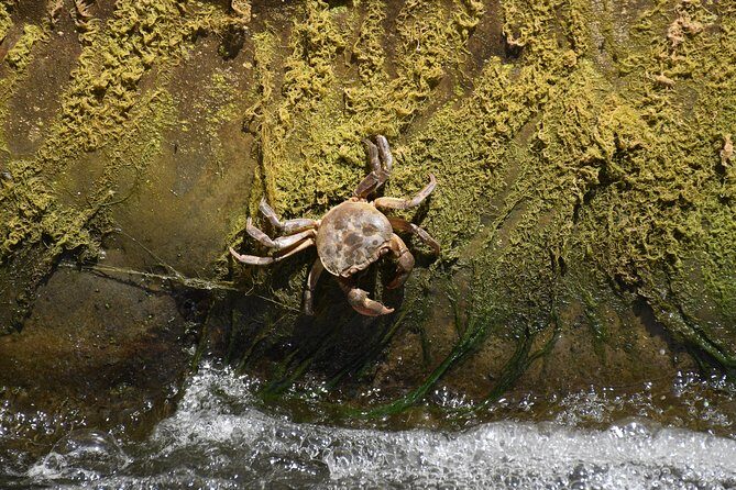Inflatable boat excursion Gole di Tiberio on the Madonie near Cefalù - FAQ