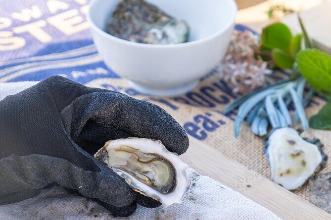 Informative Oyster Activity: Handling, Shucking & Storing + Kayaking - Final Thoughts
