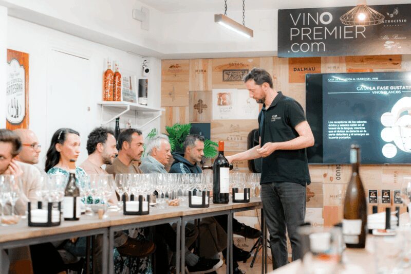 Initiation tasting to the world of wine + tasting of Iberian cured meats - Key Points