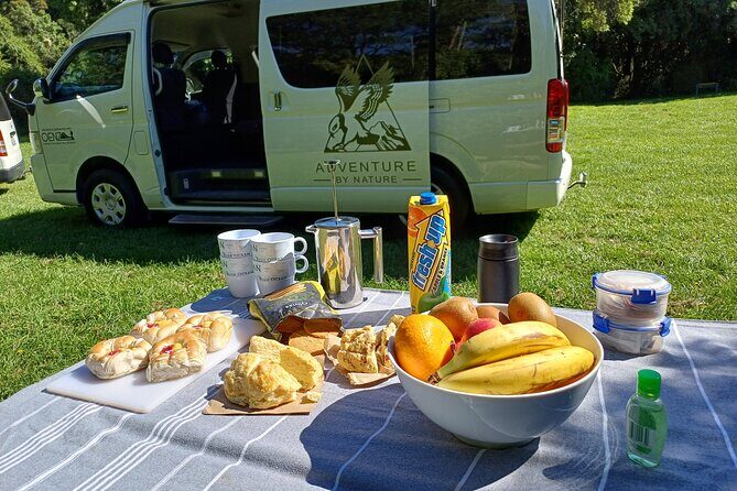 Inland Canterbury & Castle Hill Tour (Lyttelton Shore Excursion) - Real Traveler Perspectives