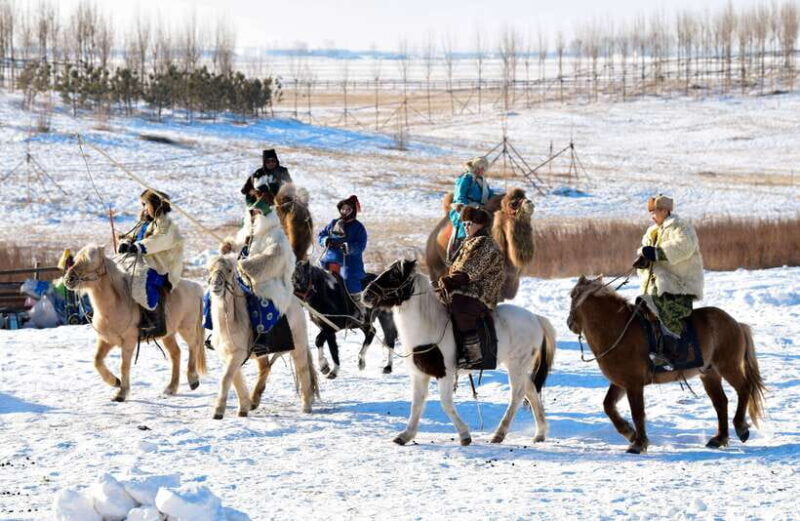 Inner Mongolia: 5-Day Private Tour with Desert Adventure - Who Is This Tour Best For?