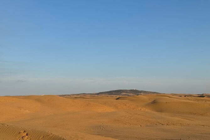 Inner Mongolia Hohhot 1Day Kubuqi Desert (Whistling Dune Bay)Tour - An In-Depth Look at the Kubuqi Desert Tour
