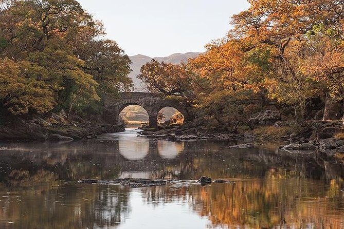 Innisfallen Island - Scenery & history of Killarney National Park - A detailed look at what this tour offers