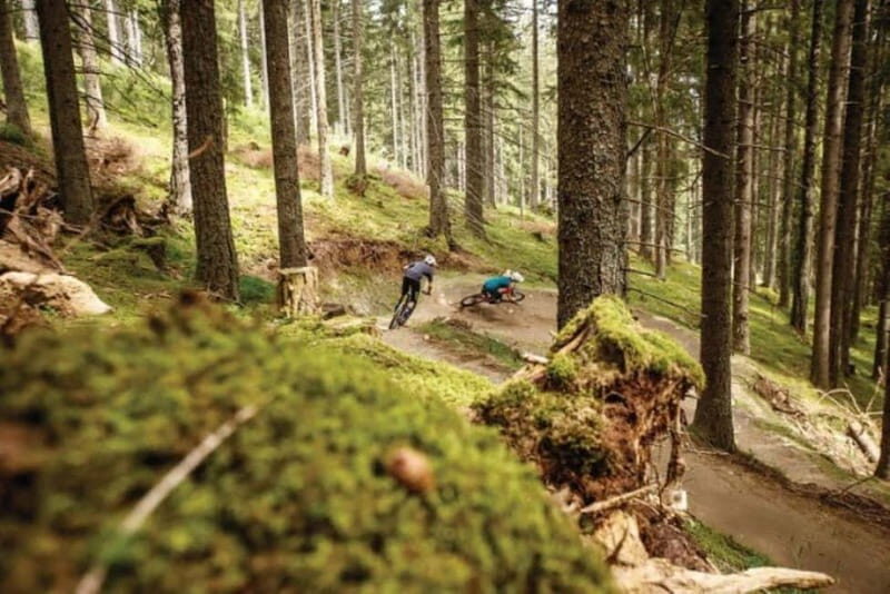 Innsbruck: Downhill Guiding - Bike Park Innsbruck - Key Points