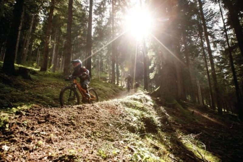 Innsbruck: Downhill Guiding - Bike Park Innsbruck - The Trails and the Landscape