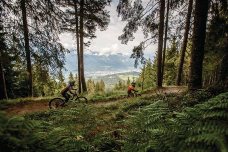 Innsbruck: Downhill Guiding - Bike Park Innsbruck - Pricing and Value