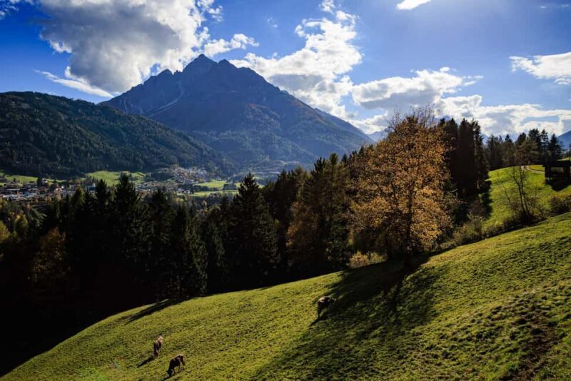 Innsbruck: Panoramic hike across the Telfer Wiesen - FAQ