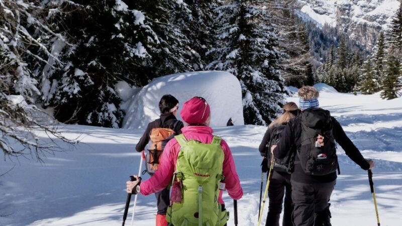 Innsbruck: Priv. Guided Snowy Mountain Hike /Snowshoe´s - Key Points