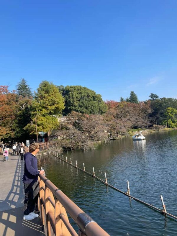 Inokashira Park: Guided Nature & Hidden Gems Walk - Exploring Inokashira Park: An Authentic Japanese Green Space