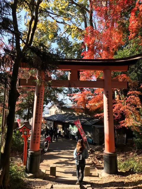 Inside of Fushimi Inari - exploring and lunch with locals - Rest, Refreshment, and Stunning Views