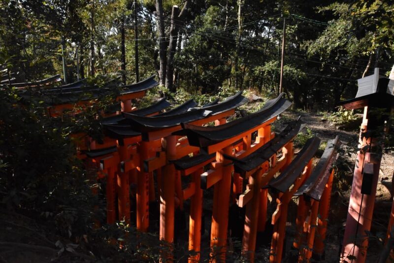 Inside of Fushimi Inari - exploring and lunch with locals - Practicalities: How to Make It Work for You