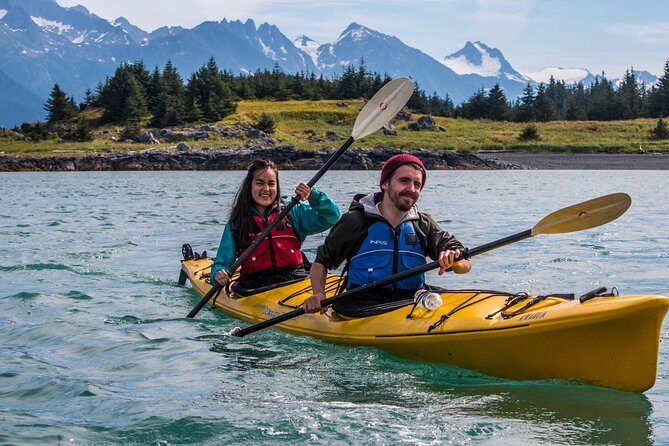 Inside Passage Sea Kayaking from Skagway - Wildlife and Nature: What You Might Encounter