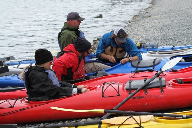 Inside Passage Sea Kayaking from Skagway - What Past Guests Say