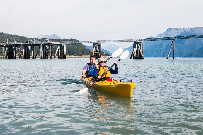 Inside Passage Sea Kayaking from Skagway - Practical Tips for Travelers