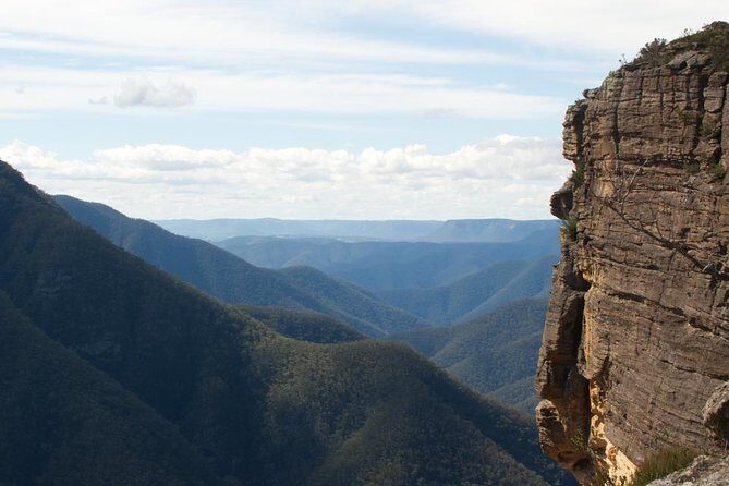 Inside the Greater Blue Mountains World Heritage - A Private Wildlife Safari Overnight - Inside the Greater Blue Mountains World Heritage - A Private Wildlife Safari Overnight