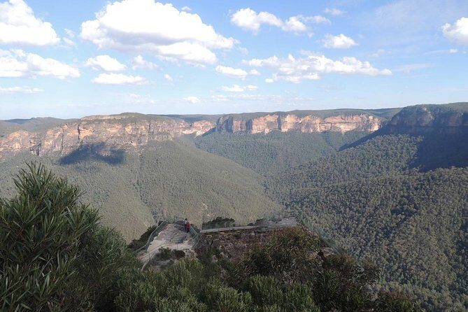 Inside the Greater Blue Mountains World Heritage - A Private Wildlife Safari Overnight - The Experience of a Small, Private Tour