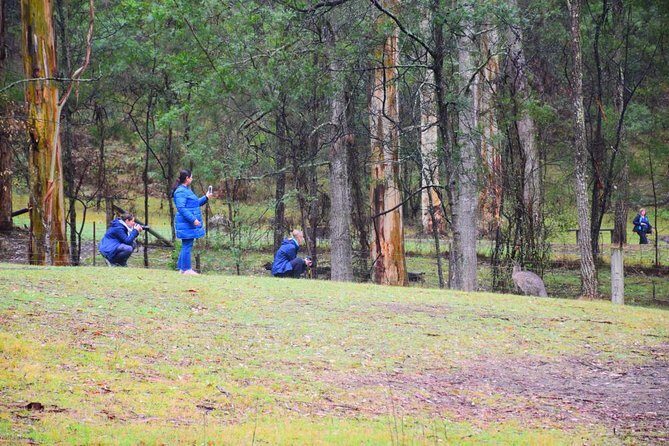 Inside the Greater Blue Mountains World Heritage - A Private Wildlife Safari Overnight - Value and Overall Impression