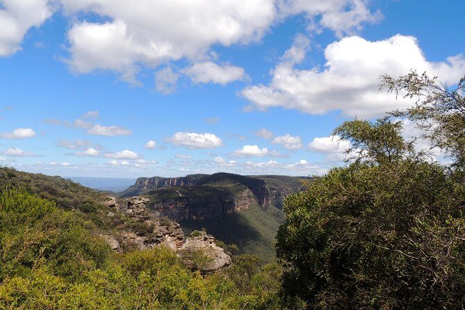 Inside the Greater Blue Mountains World Heritage - A Wildlife Safari Overnight - Key Points