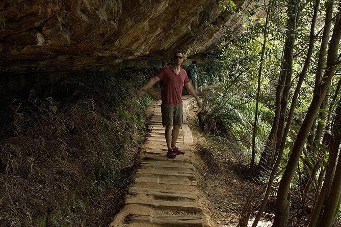 Inside the Greater Blue Mountains World Heritage - A Wildlife Safari Overnight - What Travelers Say