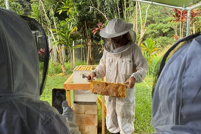 Inside the Hive: Kauai Honey and Bee Tour - Who Will Love This Tour?