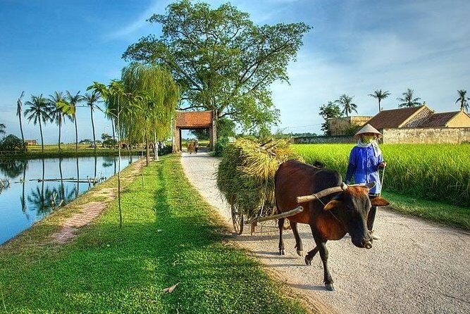 Instagram Tour Duong Lam Ancient Village with Train Street Visit - Why You Should Consider This Tour