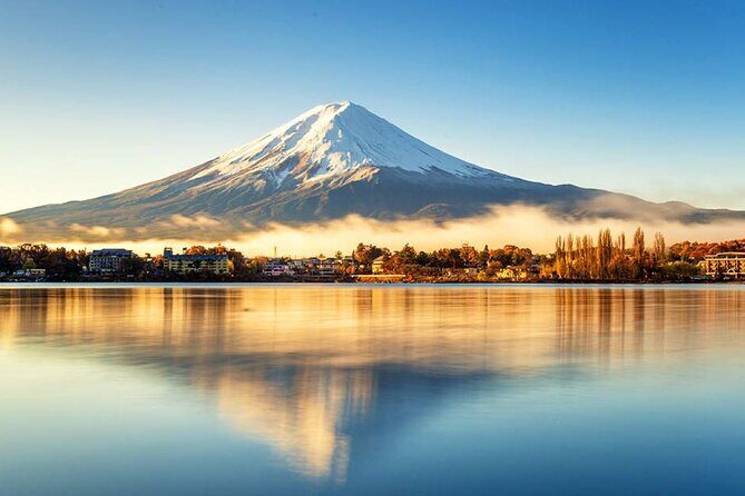 Instagram-worthy Mt. Fuji Spots & Kawaguchiko's Four Seasons Tour - Exploring the Instagram-worthy Mt. Fuji Spots & Kawaguchikos Four Seasons Tour