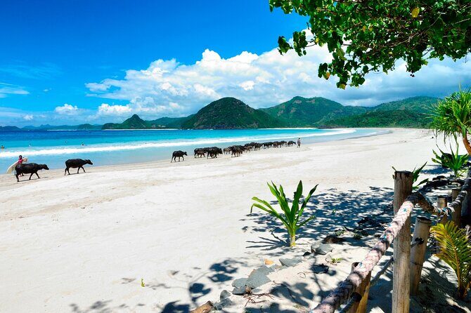 Instagramable Beach Hopping Trip - Final Thoughts