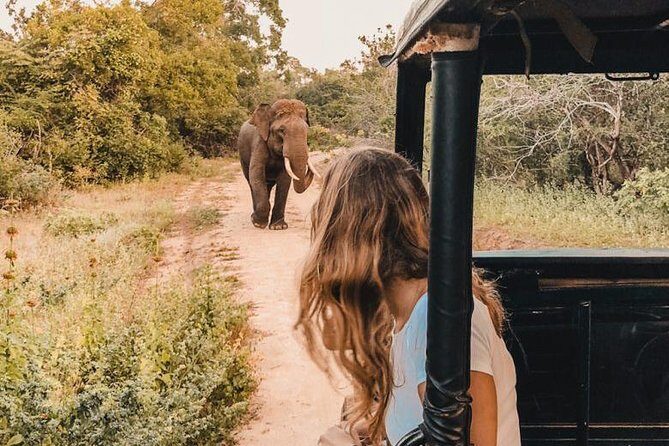 Instagramble Sri Lanka - 7 Days - What Travelers Say
