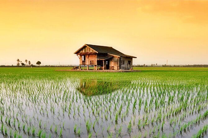 Instagrammable Kuala Selangor Sky Mirror Tour with Transfer - A Practical Guide to the Kuala Selangor Sky Mirror Tour