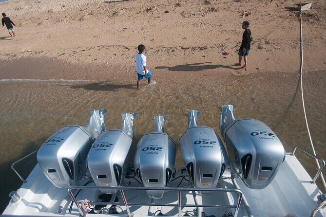 Inter Island Full Day West Tour Nusa Penida - The Sum Up