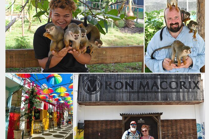Interaction with Monkey Tour & city tour in Puerto Plata - A Closer Look at the Puerto Plata Experience