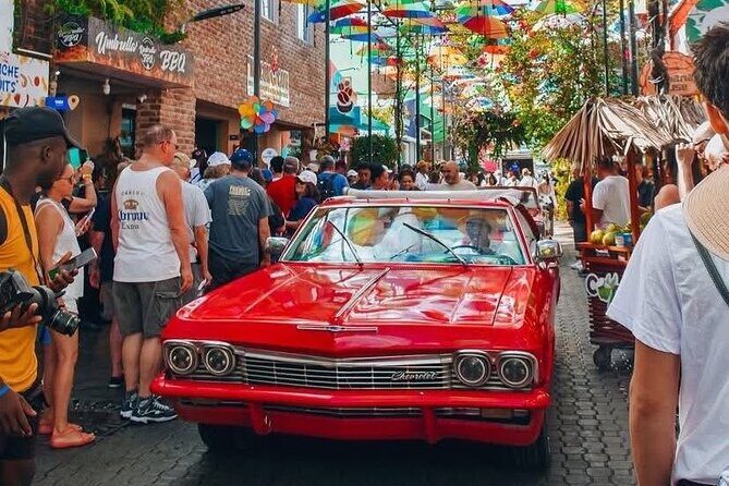 Interaction with Monkeys and Historic City Tour of Puerto Plata - A Deep Dive into the Experience