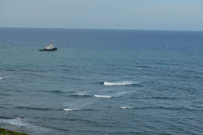 Interaction with Monkeys and Historic City Tour of Puerto Plata - The Sum Up