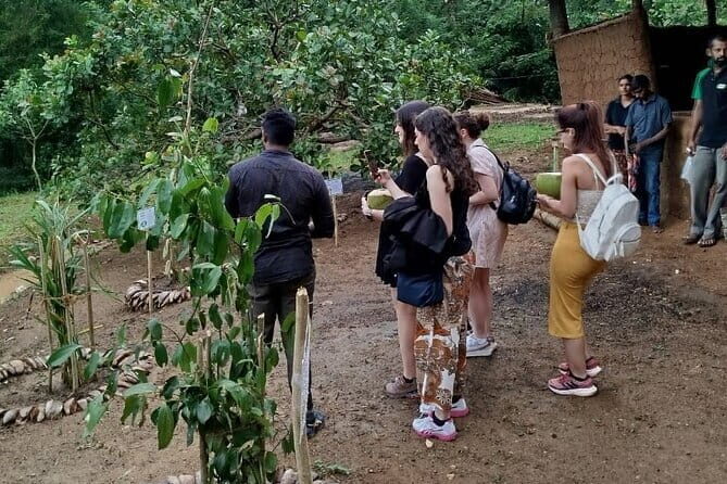 Interactive Cinnamon and Spices Experience at Warala Watta Farm - What to Expect from the Tour