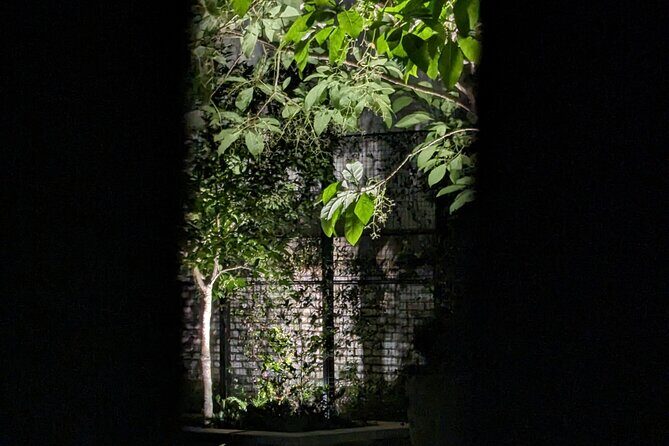 Interactive Paranormal Ghost Walking Tour in Savannah Georgia - An In-Depth Look at the Savannah Ghost Tour