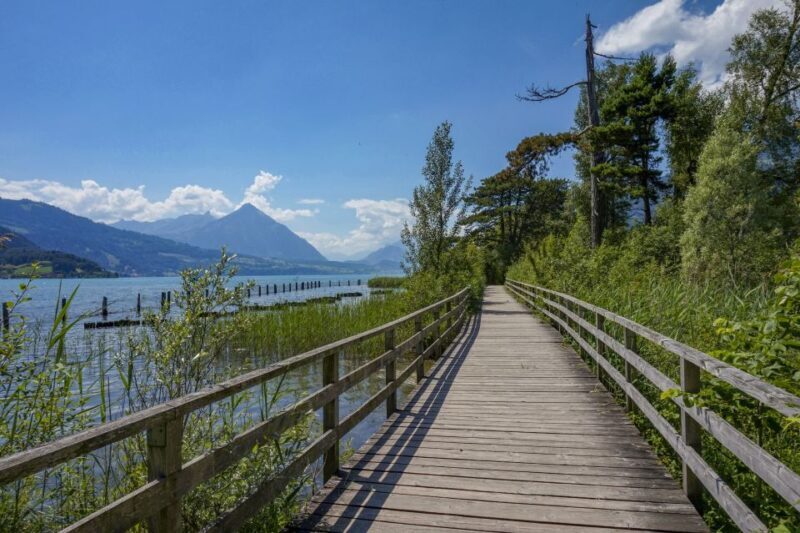 Interlaken: Capture the most Photogenic Spots with a Local - Who Should Consider This Tour?