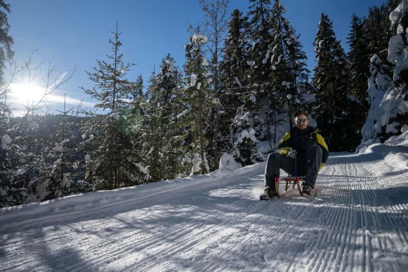 Interlaken: Guided Sledging Adventure - Detailed Breakdown of the Sledging Experience