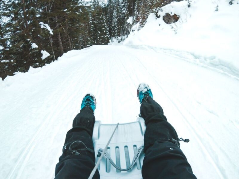 Interlaken: Guided Sledging Adventure - Final Thoughts: Who Should Consider This Tour?