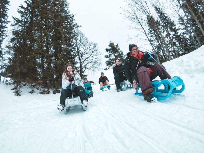 Interlaken: Guided Sledging Adventure - FAQs