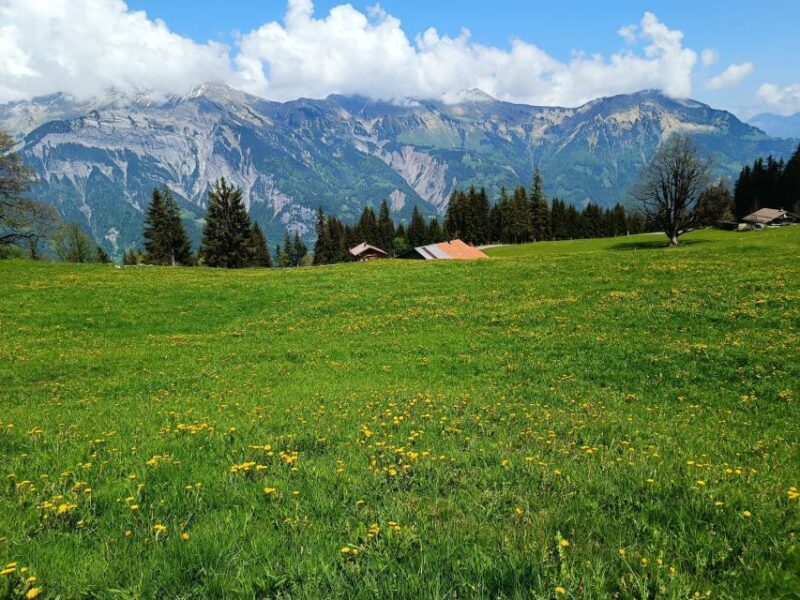 Interlaken: Highlights Tour with a Local by Private Car - Why This Tour Stands Out