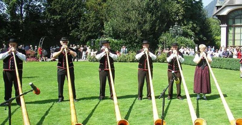 Interlaken & Jungfrau: Custom-Tailored Tour with Local Guide - Why Choose This Tour?