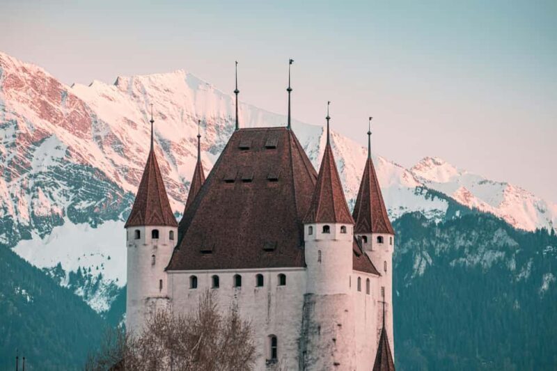 Interlaken: Lake Thun Castles Tour with Entry Tickets - Who Will Love This Tour?