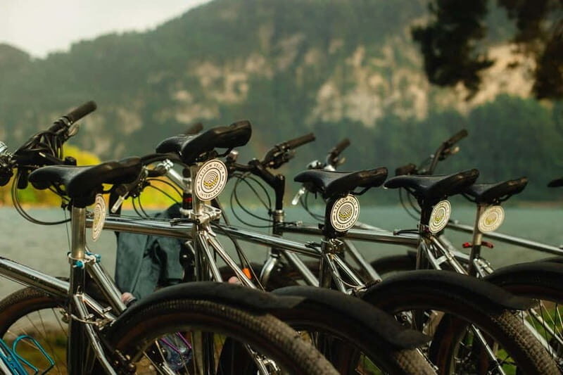 Interlaken: Lake Thun Sunset Social Bike Tour with Sundowner - Why This Tour Might Be Perfect for You