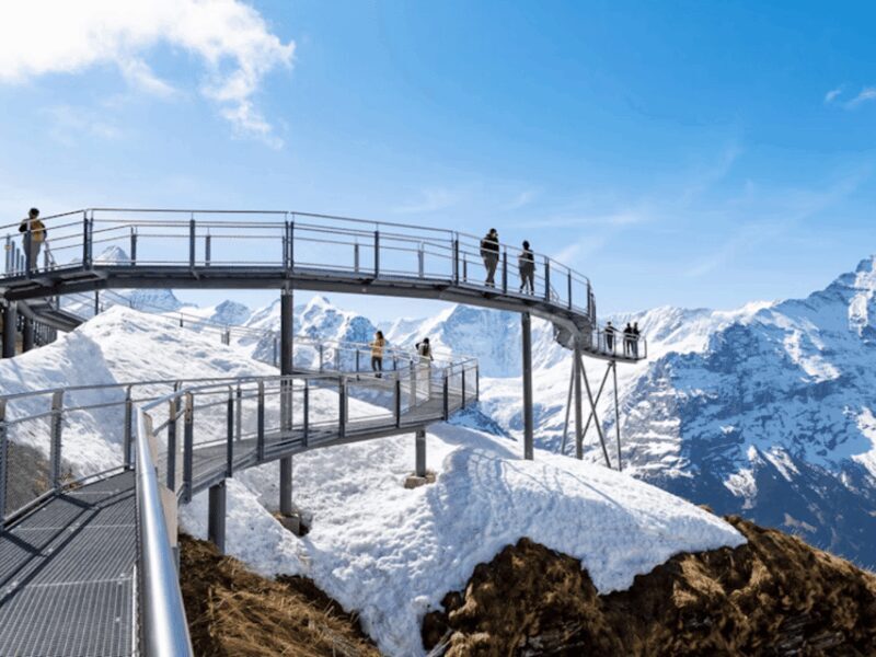 Interlaken: Private Day Trip to Harder Kulm and Grindelwald - Key Points