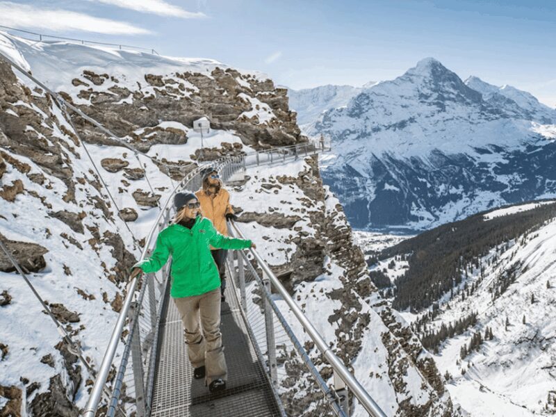 Interlaken: Private Day Trip to Harder Kulm and Grindelwald - Conclusions: Who Is This Tour Best For?