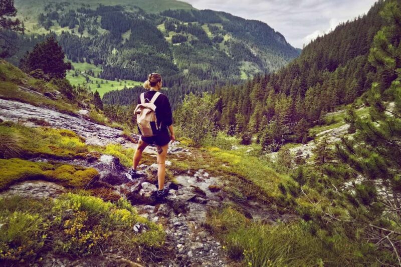 Interlaken: Rosenlaui Hike with Gorge & Alpine Hut Visit - What Makes This Hike Special?