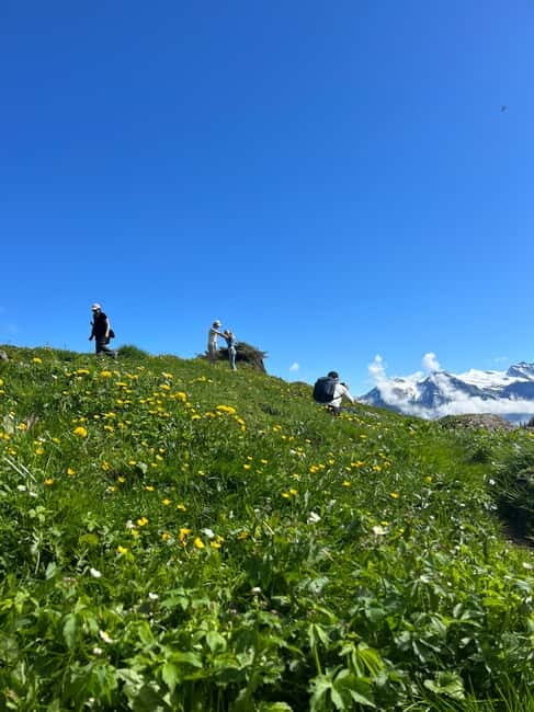Interlaken: Scenic hiking tour from Mürren to Rotstock hut. - Overall Experience and Value